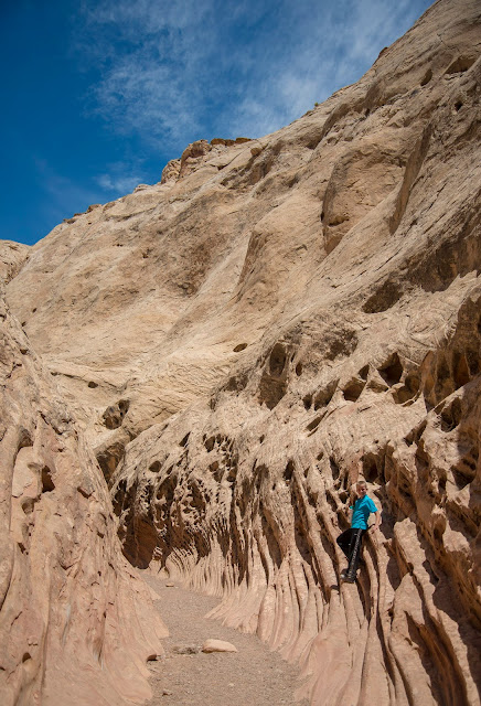 A school of fish: Little Wild Horse Slot Canyon