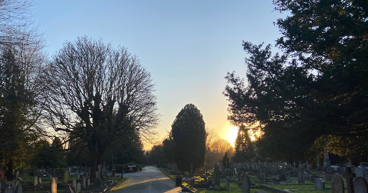 The 38 to Clapton Pond