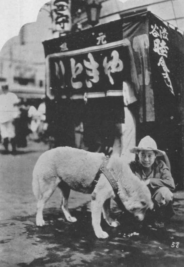 Rare Photos of Hachikō, the World’s Most Loyal Dog ~ Vintage Everyday