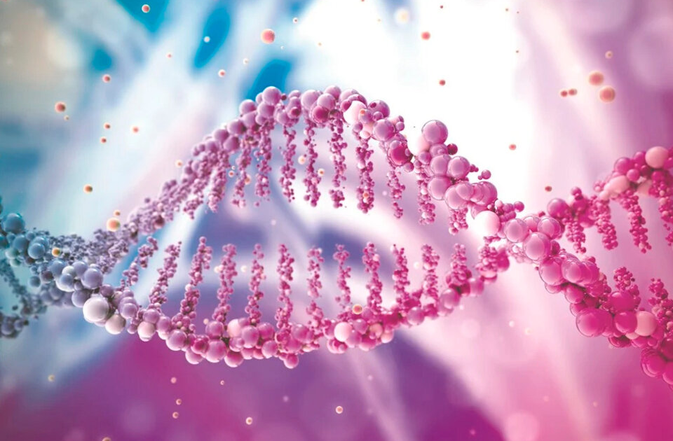 SECUENCIAN POR PRIMERA VEZ GENOMA HUMANO COMPLETO