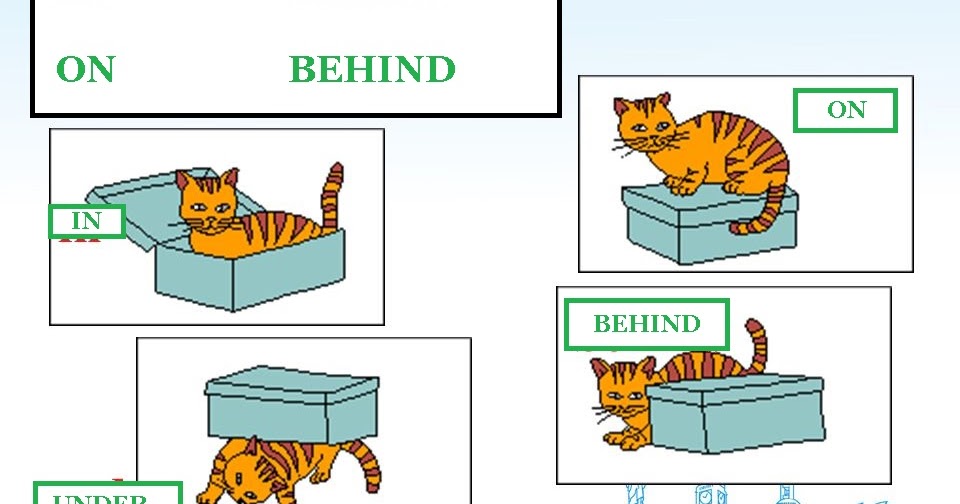 1r E.P. Ceip Son Pisà. Anglès.: POSITION: IN, ON, UNDER, BEHIND