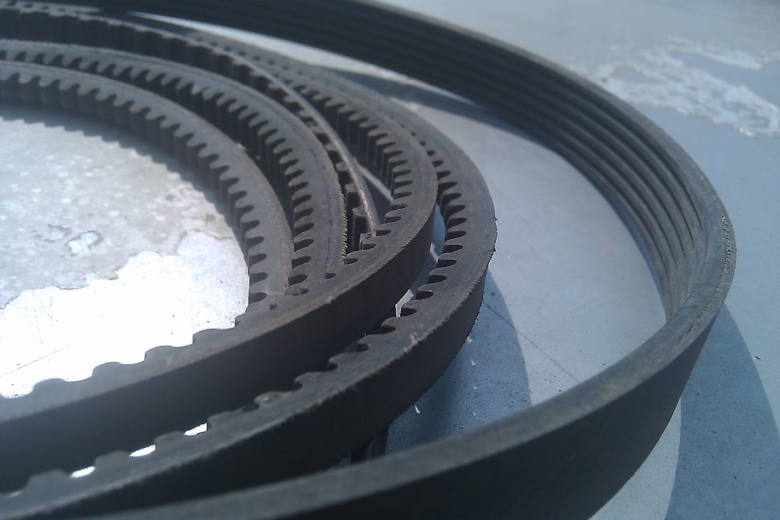 Los Como Seaa: Bandas