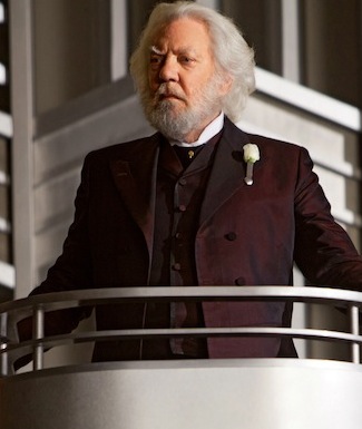 I never saw such a woman: My Hunger Games Movie Review