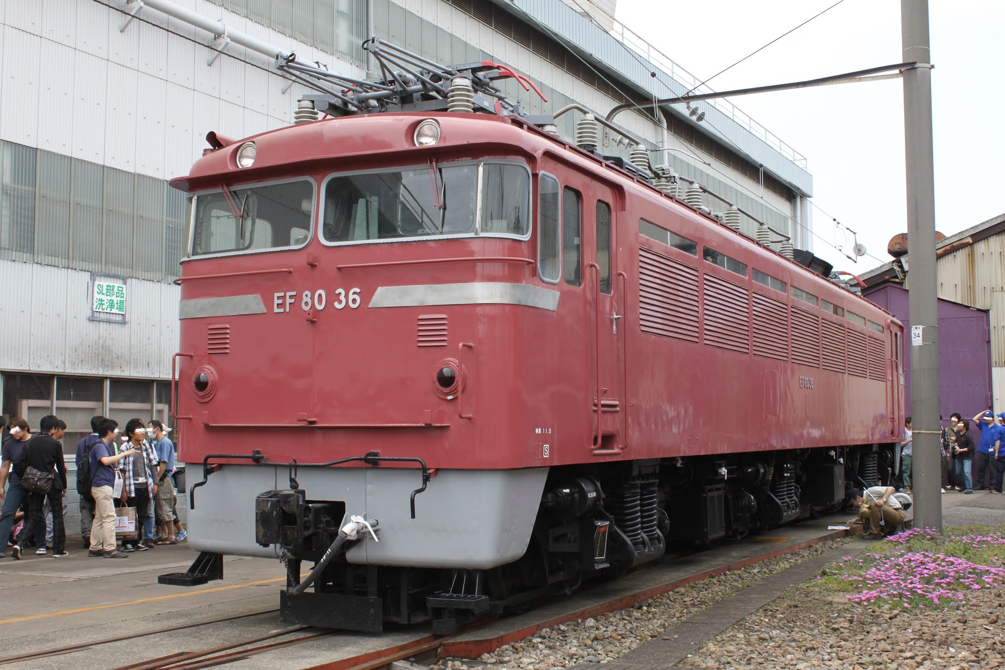 ハマちどり写真帖: 【1日遅れの510の日】EF60 510と保存機仲間たち