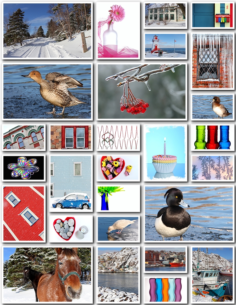 Bitstop: February Collage