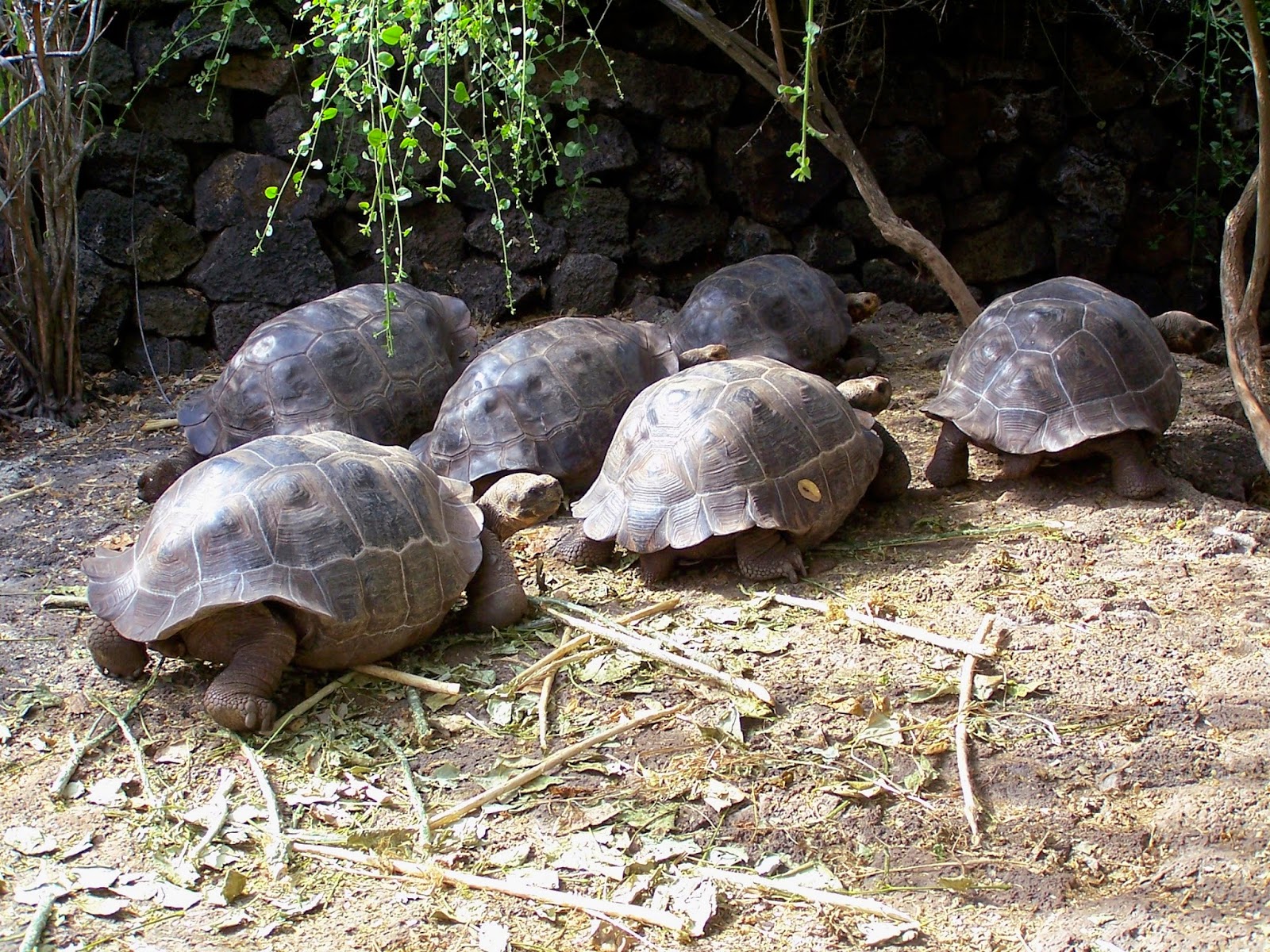 The Natural World: We Interrupt Our Previously Scheduled Programming ...