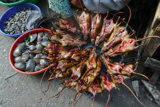 10 Bizzare and Weird Food That Are Eaten In India - FalseFree