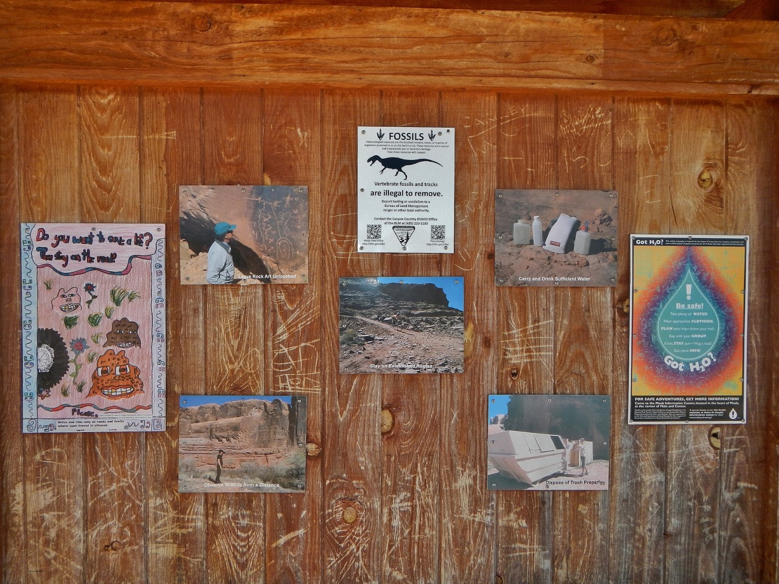 The Southwest Through Wide Brown Eyes: Copper Ridge Dinosaur Trackways ...