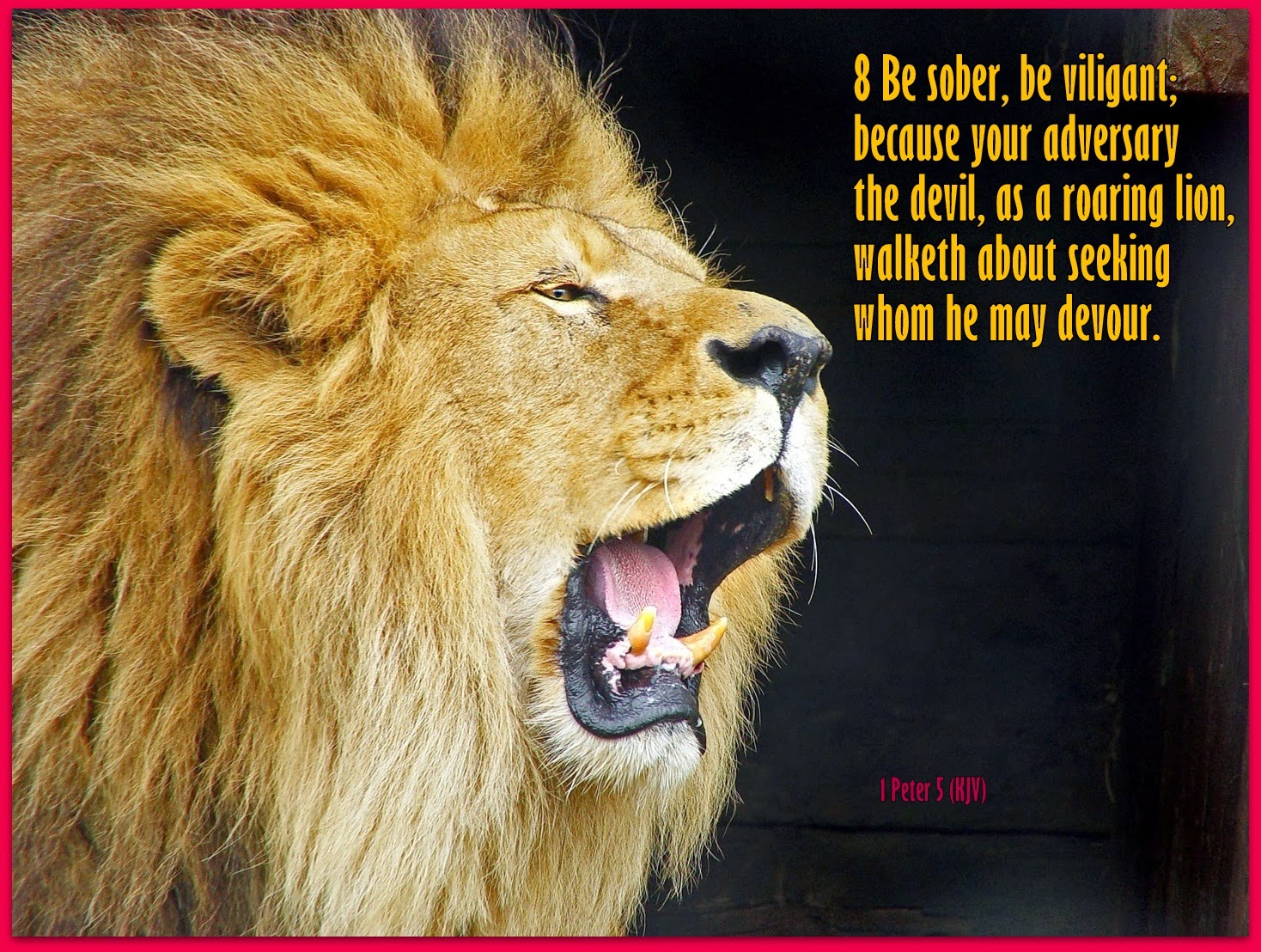 Red Pill Diaries 1 Peter 5 KJV red-pill-diaries-1-peter-5-kjv