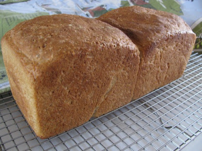 Green Gourmet Giraffe: CC Country grain and soy bread