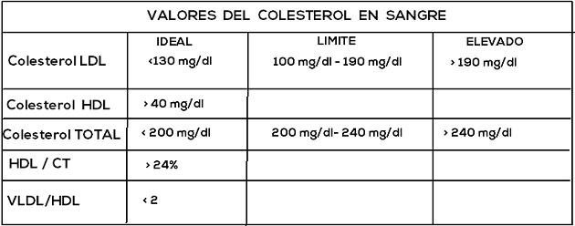Colesterol Normal
