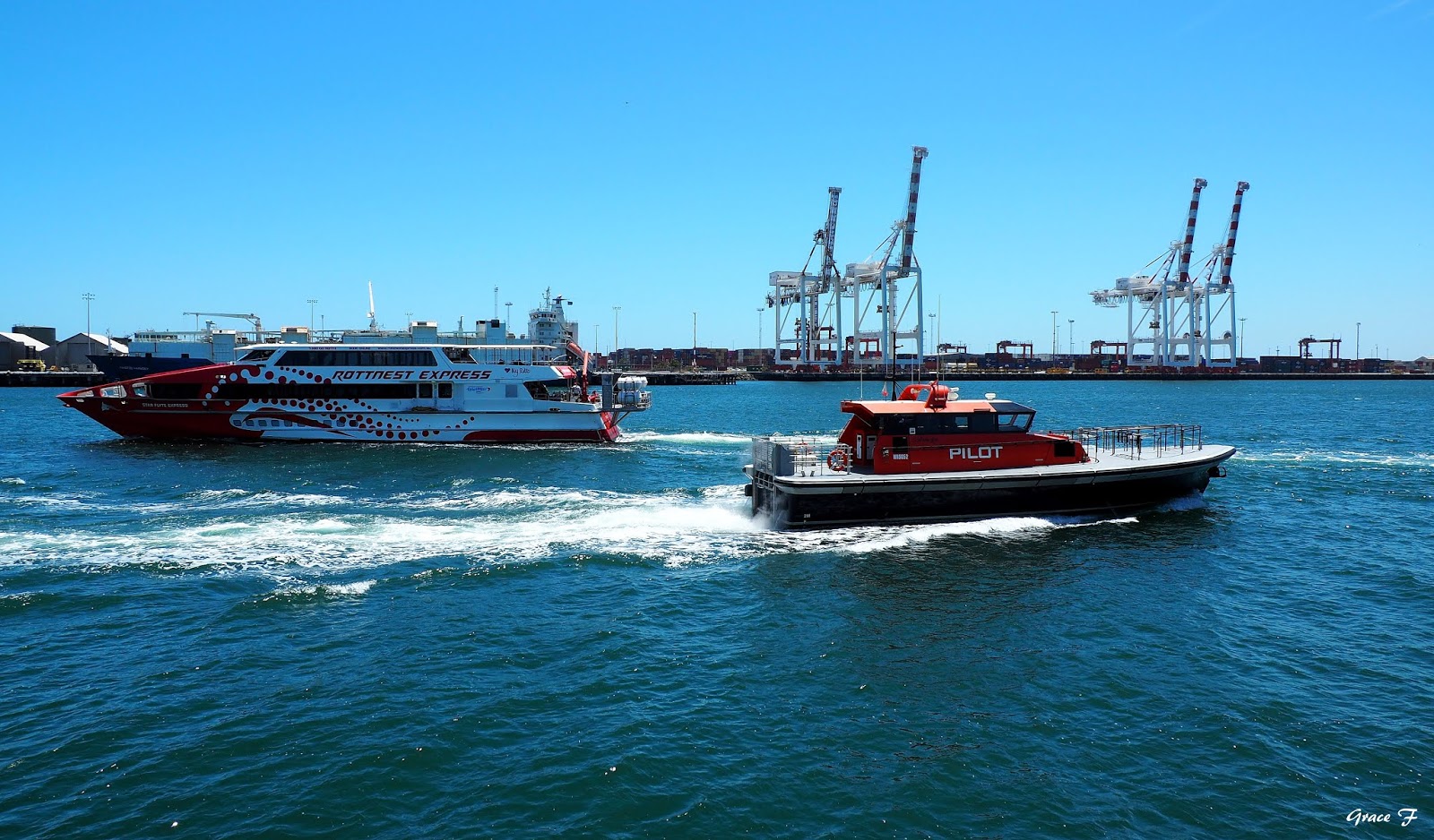 Perth Daily Photo : Love Freo..