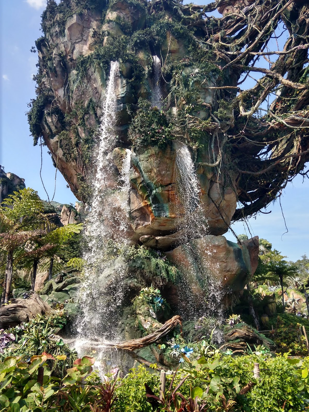 YABookNerd: Walt Disney World Photos (2)