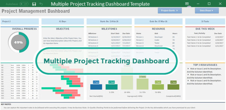 Multiple Project Portfolio Dashboard Excel Template