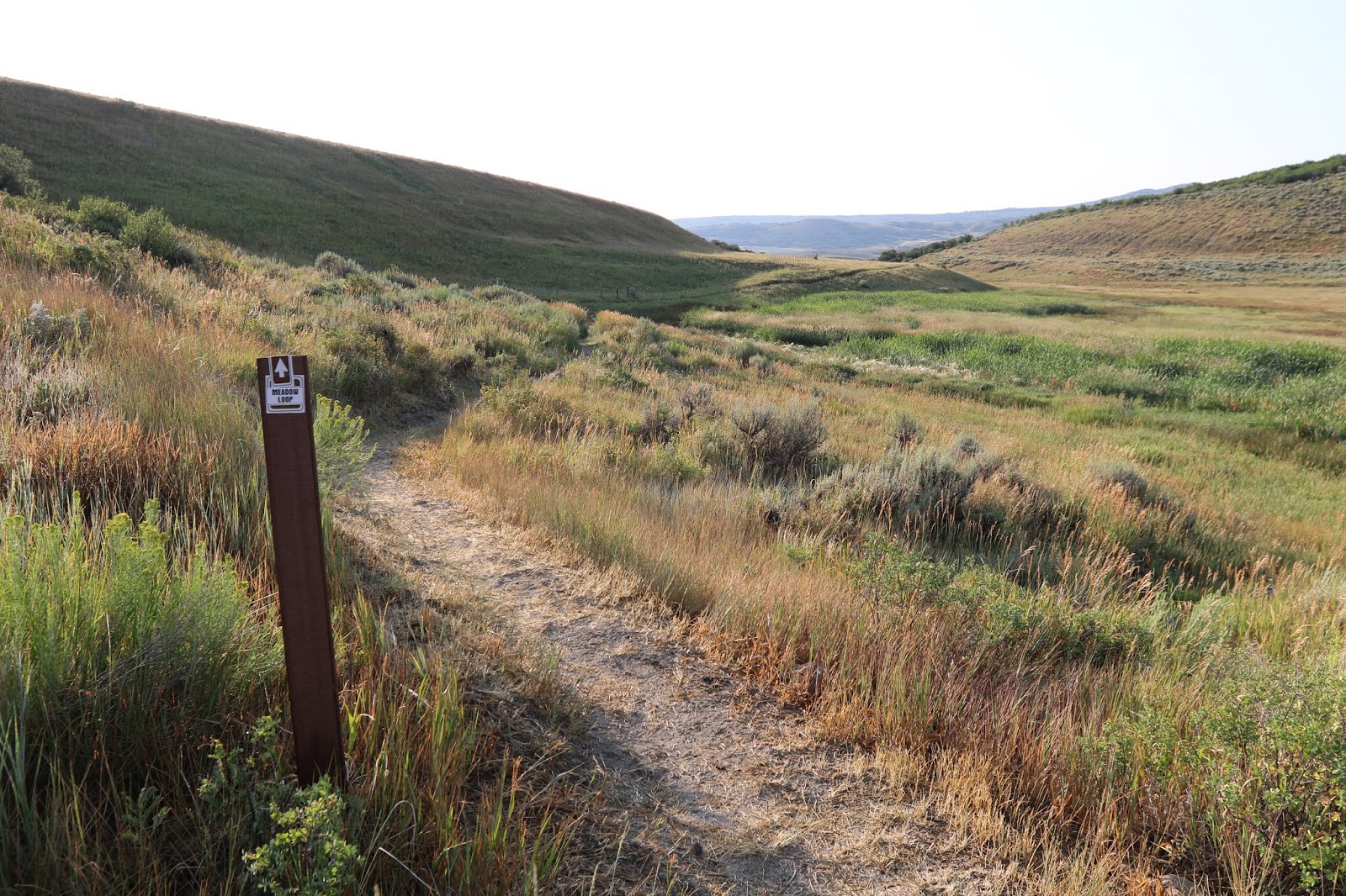 gjhikes.com: Meadow Loop