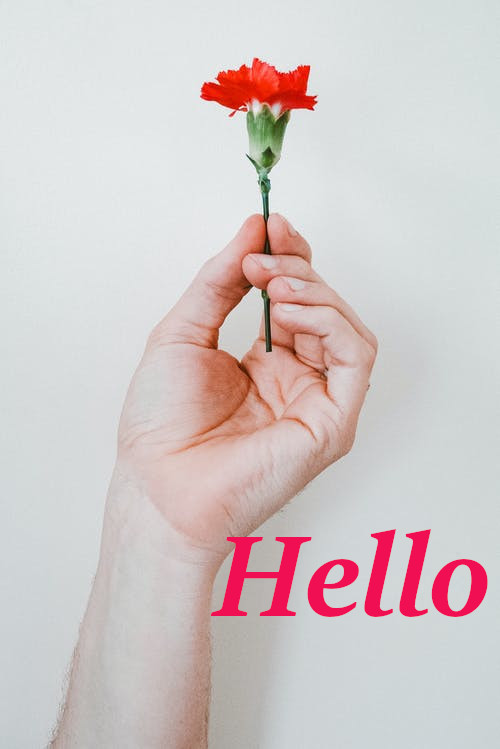 Top 10 Hello Images greeting Pictures,Photos for Whatsapp - Good Morning