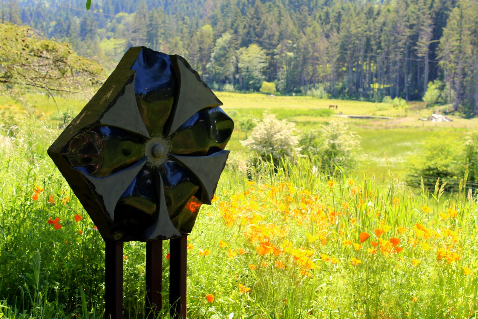 The Murray Chronicles : Salt Spring Wild ~ a craft cidery on Salt ...