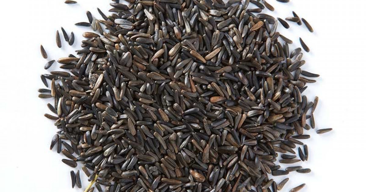 HERBAL REMEDIES: KARALE / KARAL / RAMTIL / BLACKSEED / SURGUJA ...