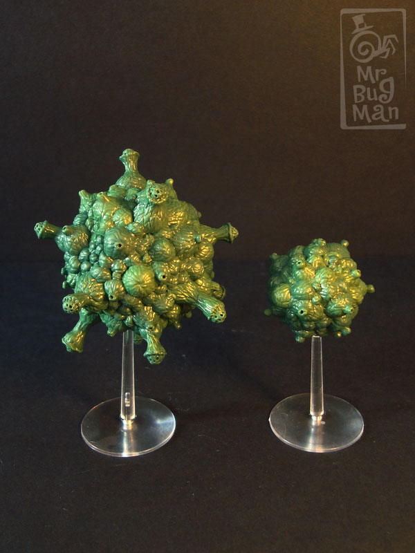 Mr. Bug Man: ASCOMOID