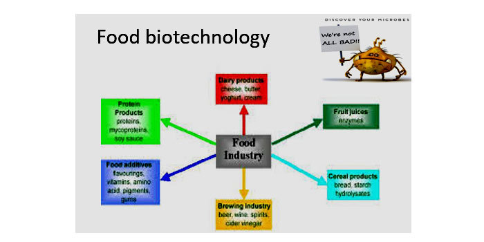 Microbial Biotechnology Bio Processing Fermentation Its Types 40260