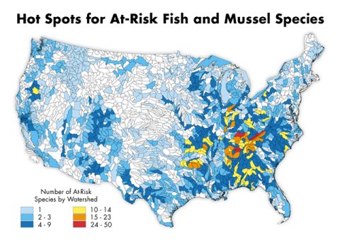 The Fisheries Blog: 5% of US Freshwater Fish Species Petitioned for ...