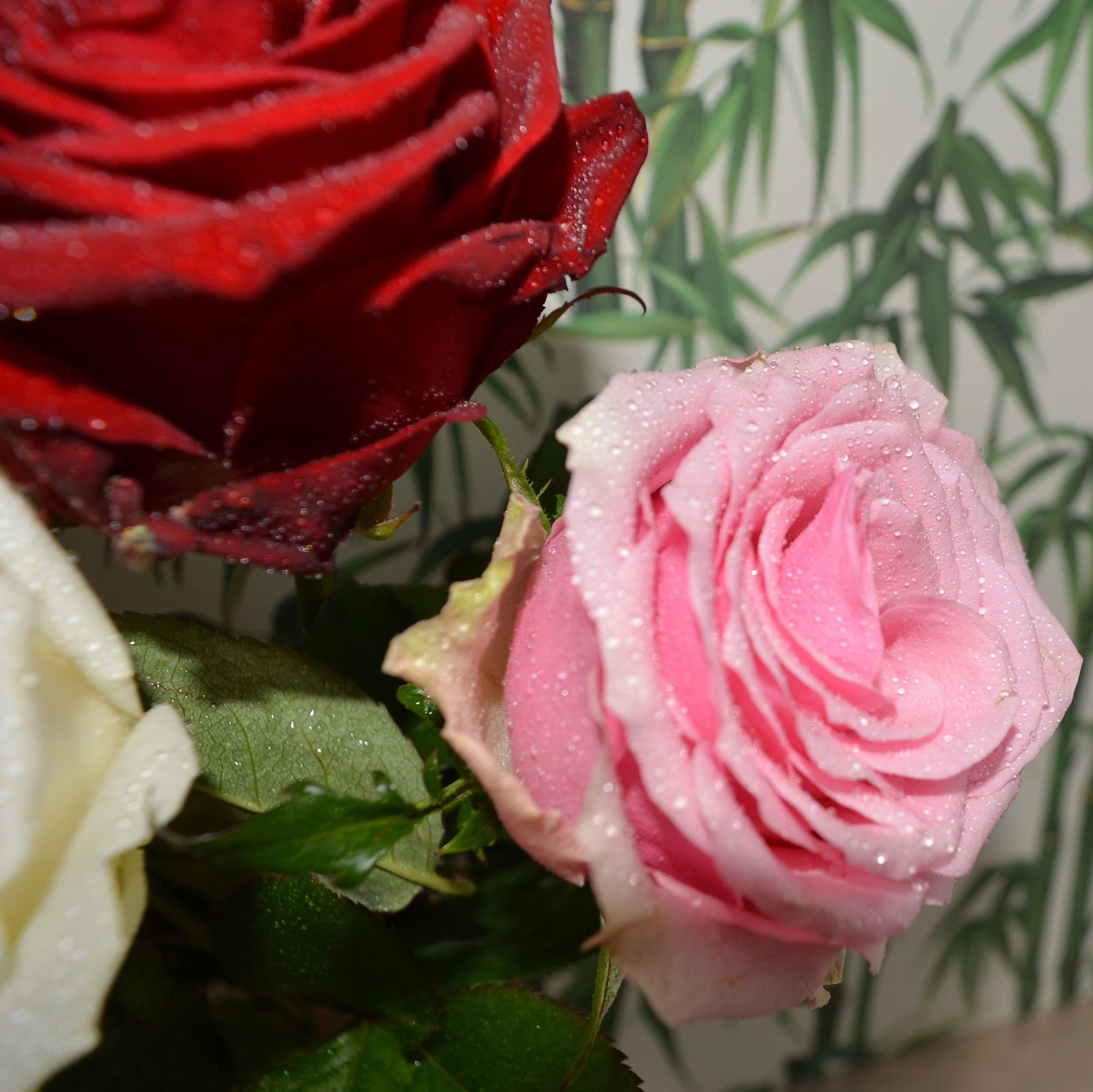 Bemerry.B: Photos - un bouquet - 3 roses - différentes façons de les ...