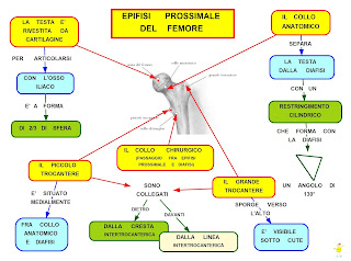 MAPPER: febbraio 2012
