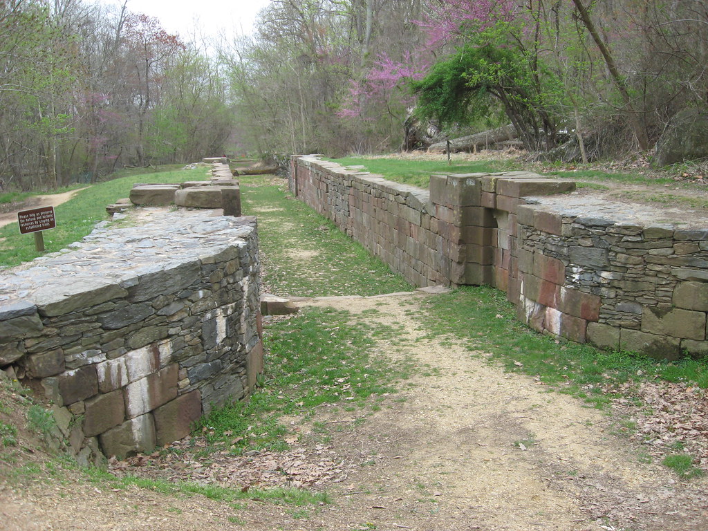 So Many Tunes ...: 2019