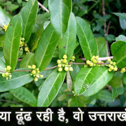 औषधीय खेती विकास संस्थान शाहजहाँपुर उ० प्र०