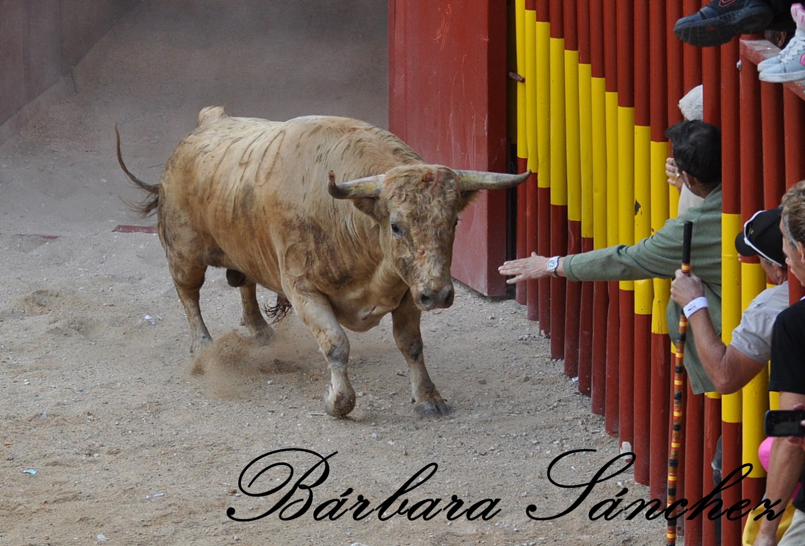 TAURINAS AL NATURAL: ARGANDA DEL REY (MADRID)