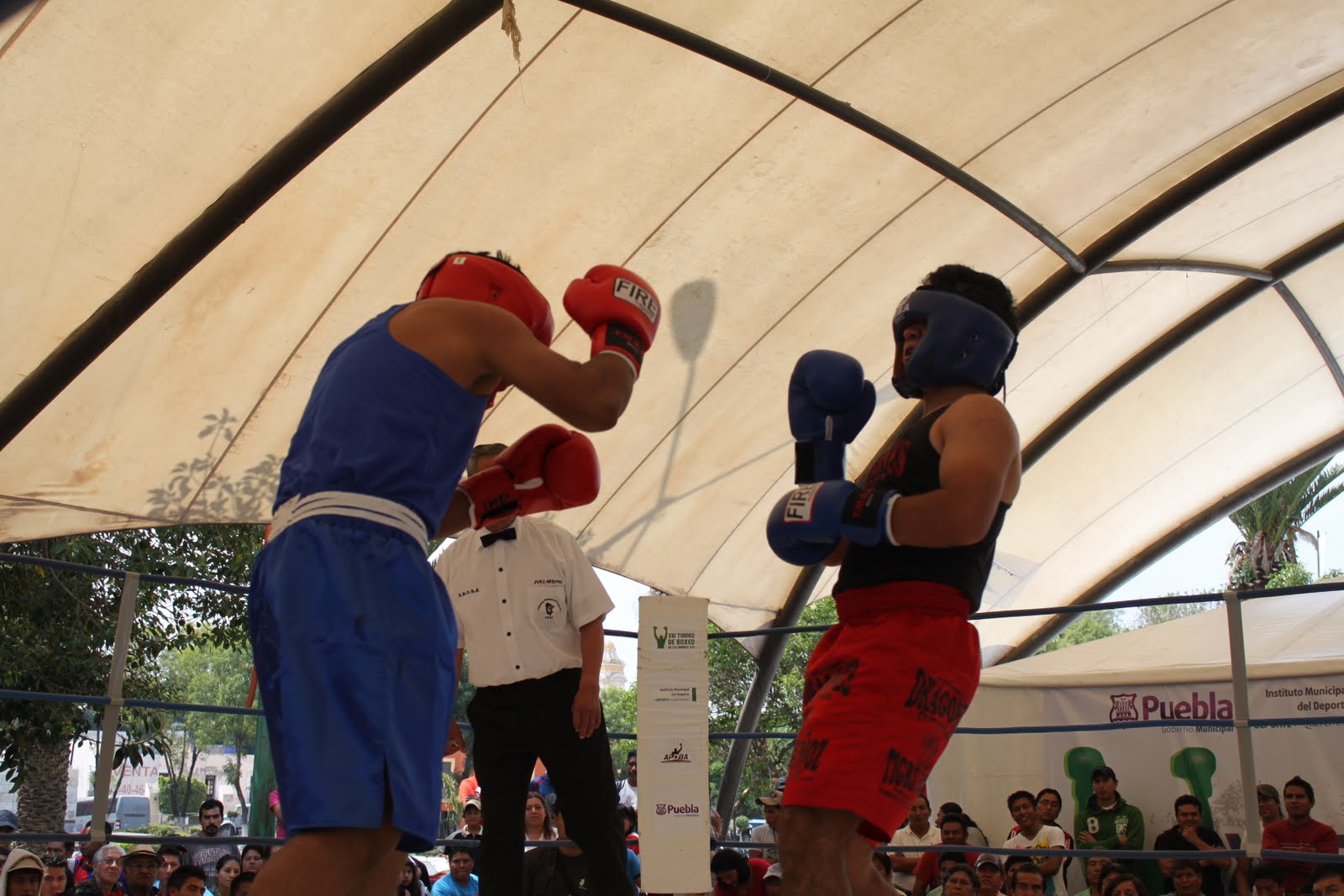 DeporPuebla: 19 BOXEADORES SE COLOCAN EN LA SIGUIENTE FASE DEL “XIV ...