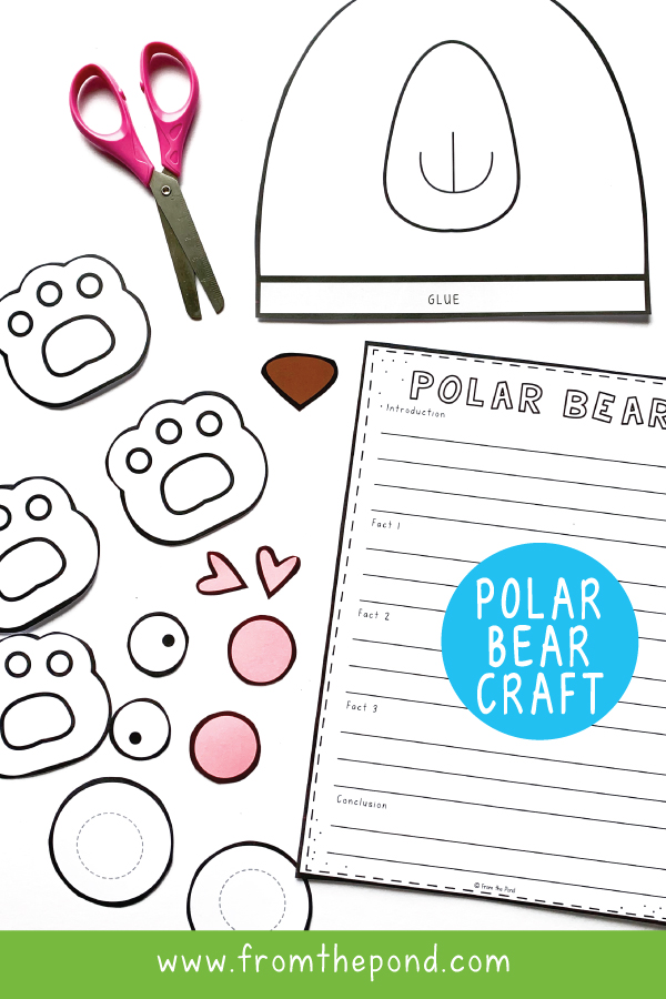 Polar Bear Information Writing | From the Pond