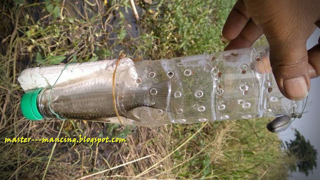 Master mancing: Mancing Belanak Dengan Botol Plastik { TERBARU }