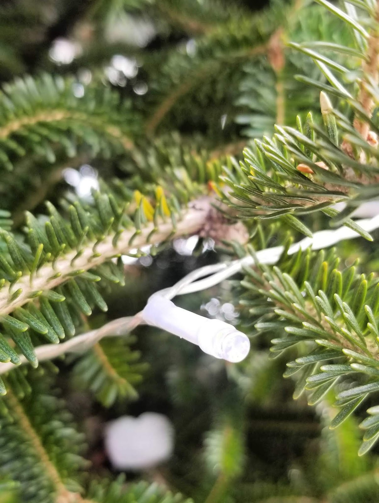 How to Decorate an Outdoor Christmas Tree - Fresh Eggs Daily® with Lisa ...