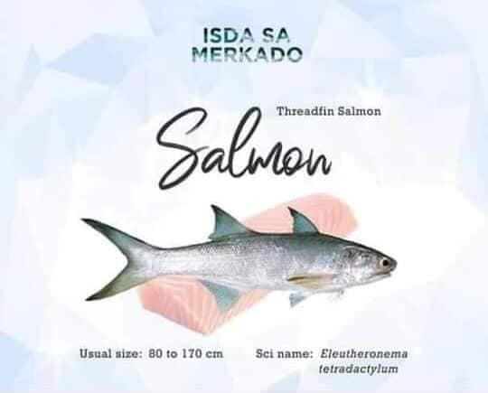 Ibat-Ibang Klase ng Isda at Iba Pang Laman-Tubig na Karaniwang Mabibili sa Palengke sa Pilipinas ...