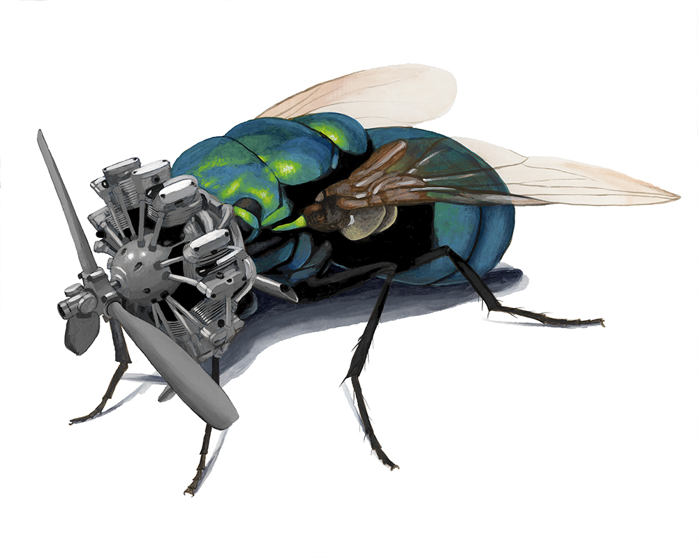 INSIDE THE ROCK POSTER FRAME BLOG: Robert Bowen Fly Guy Print Release