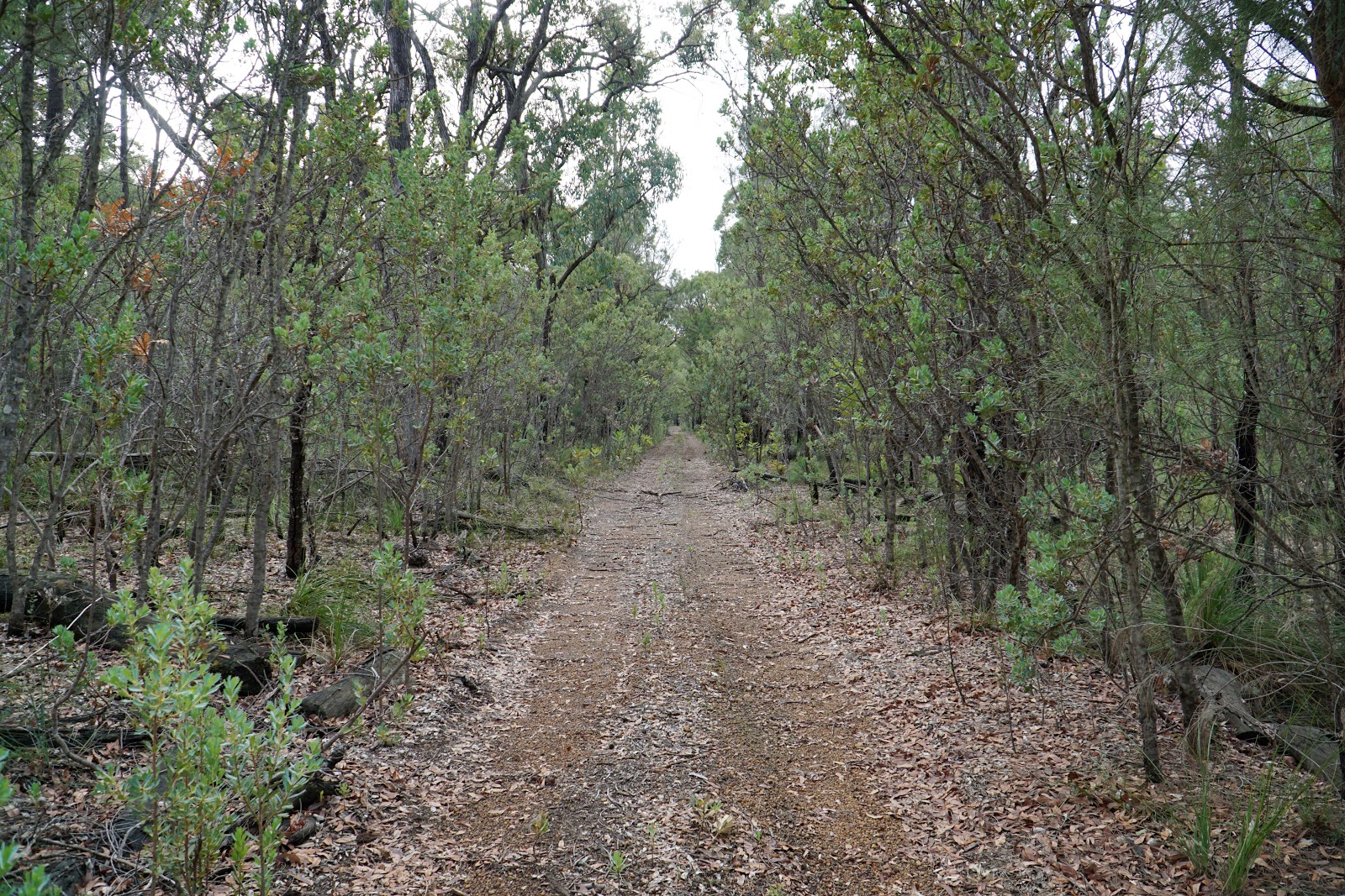 Abyssinia Rock Walk GPS Route (Jarrahdale State Forest) ~ The Long Way ...