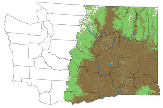Agricultural Effects on Shrub-steppe Ecology in Eastern Washington: Effects