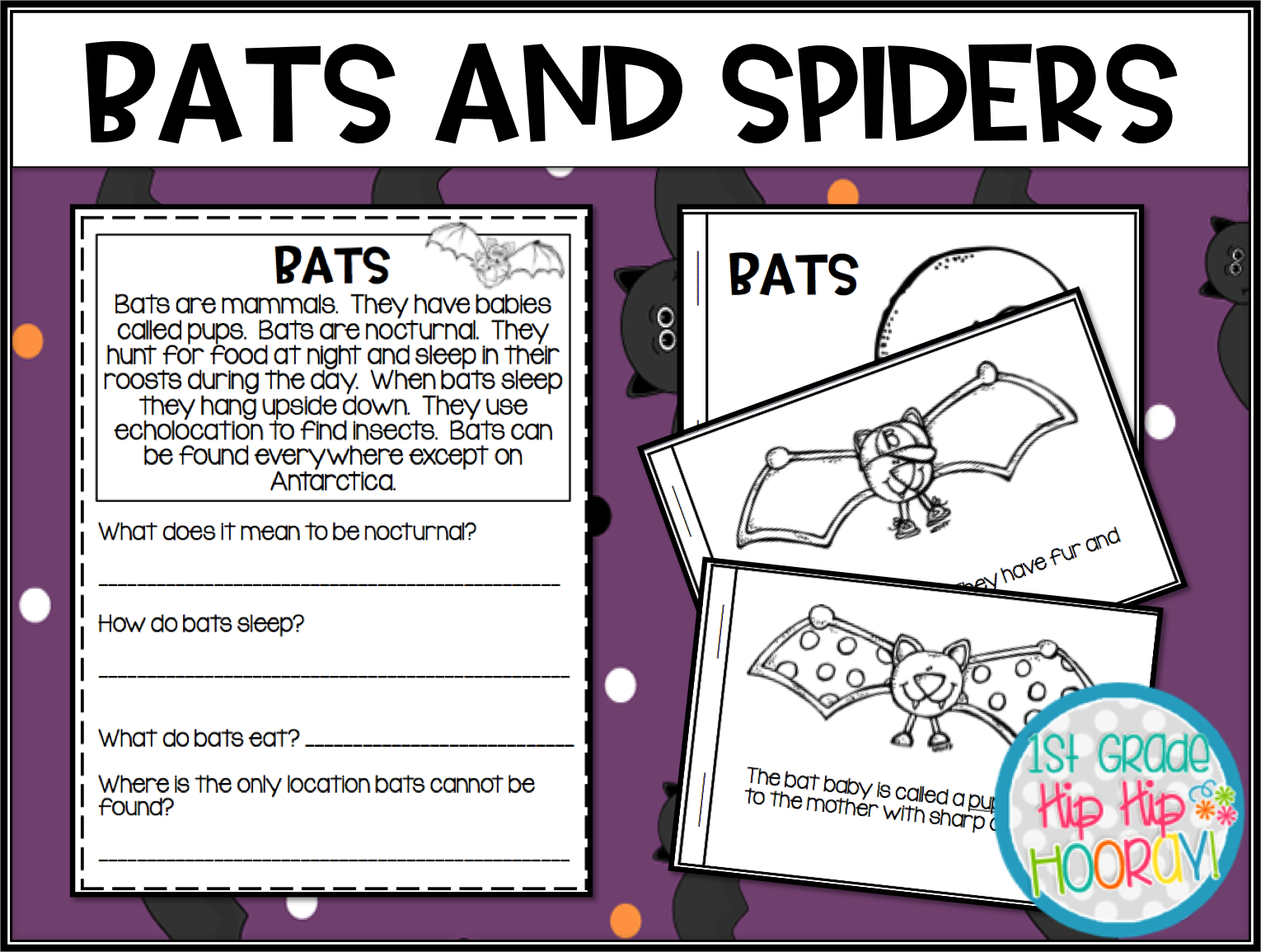 1st Grade Hip Hip Hooray!: Bats and Spiders...Informational Text