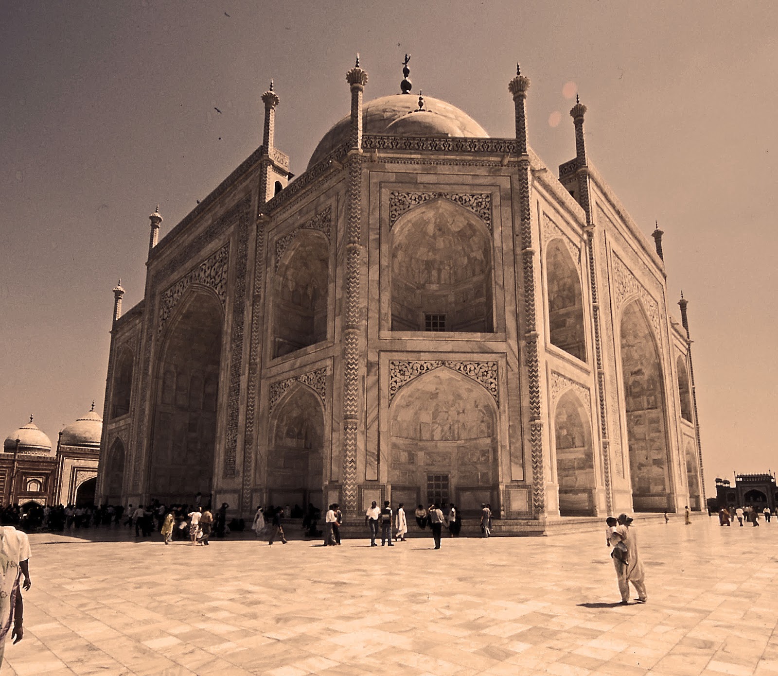 Hunting Digital Plumes in the US and Beyond: The Taj