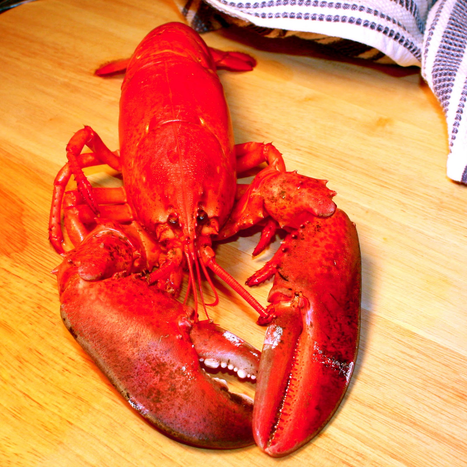 365 things we ate: January 2012