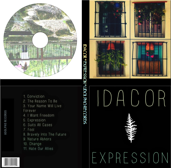 Anna Nguyen: Indie Rock CD Covers