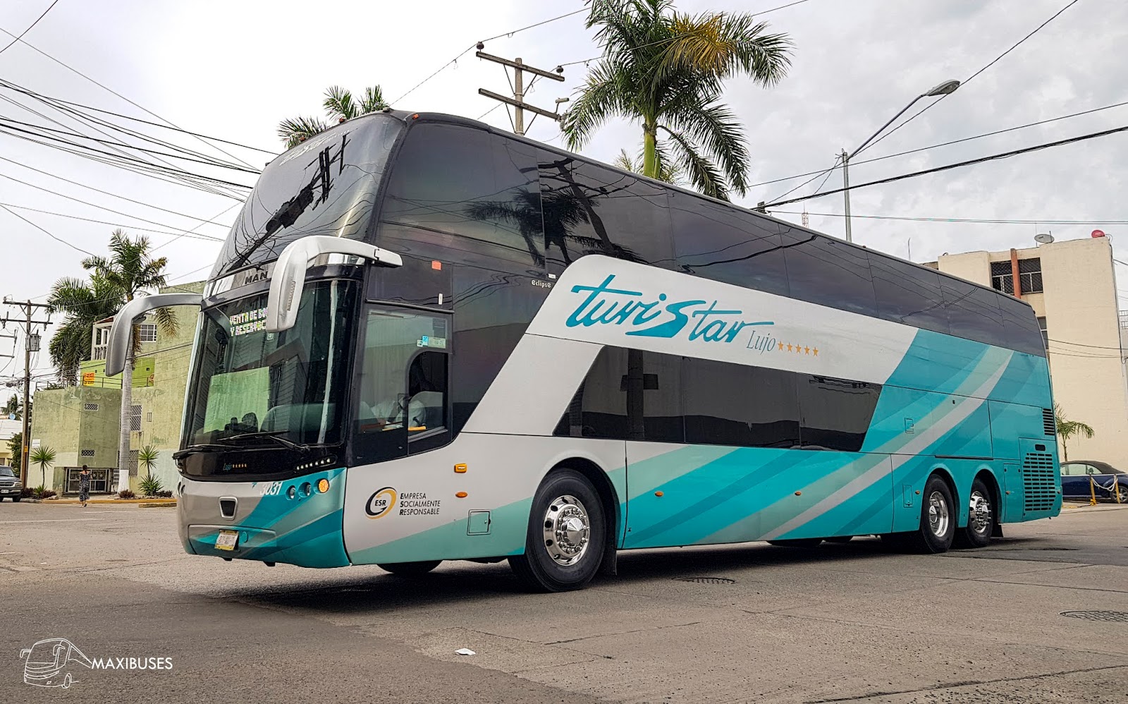 MAXIBUSES: TURISTAR LUJO