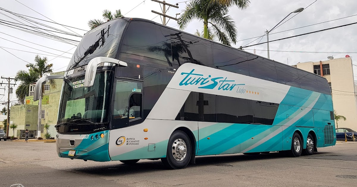 MAXIBUSES: TURISTAR LUJO