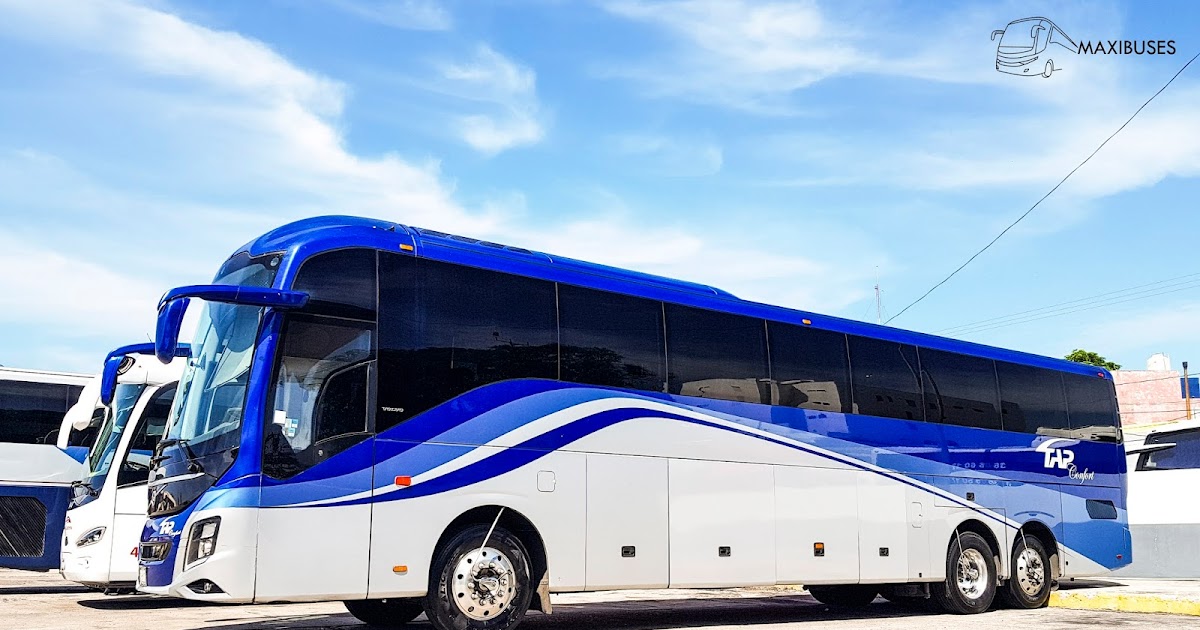 MAXIBUSES: TRANSPORTES Y AUTOBUSES DEL PACÍFICO, CONFORT (TAP CONFORT)
