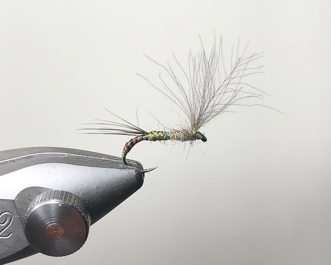 NIGEL NUNN - Fly Box Holy Grail & Sketching Through a Pandemic