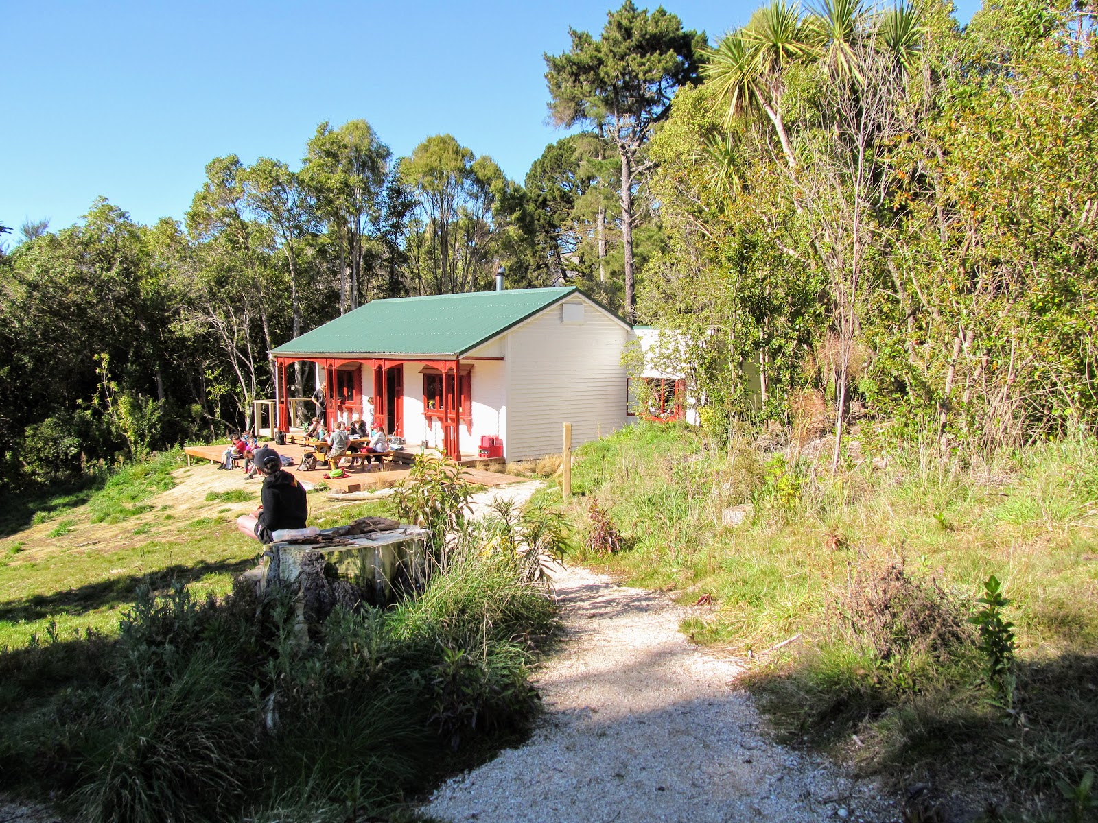 Tramping in the New Zealand backcountry: NZ Bush Adventures: A visit to ...