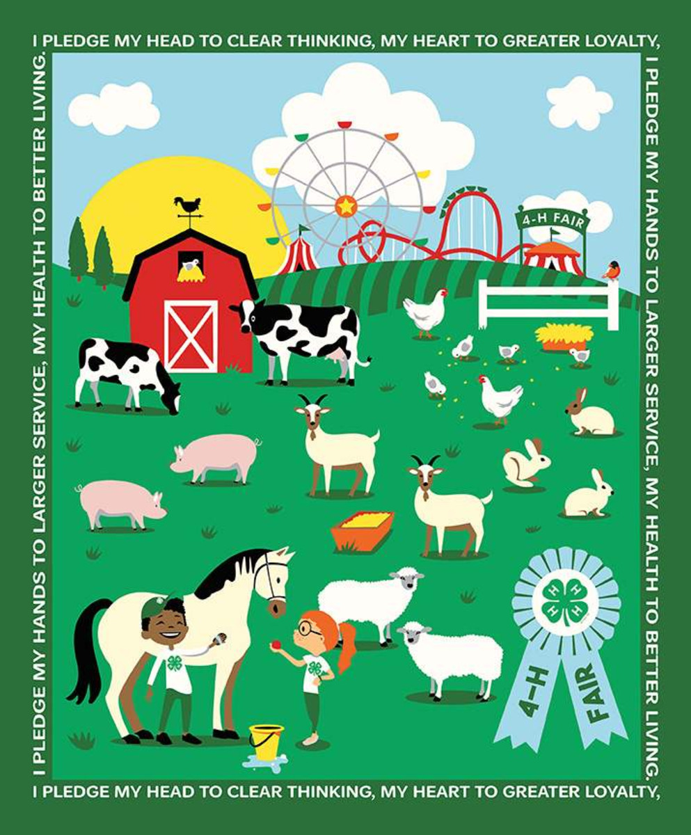 .Quiltscapes.: 4-H "Fair Days" Quilt
