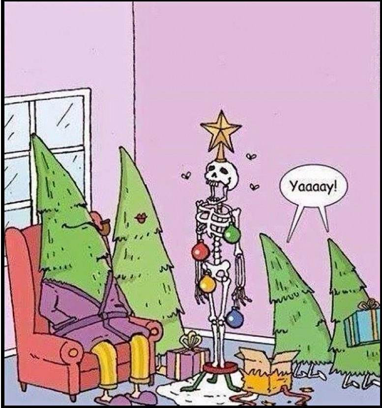 Life on Delmarva: 25 Humorous Christmas Greetings, Cartoons and Memes ...