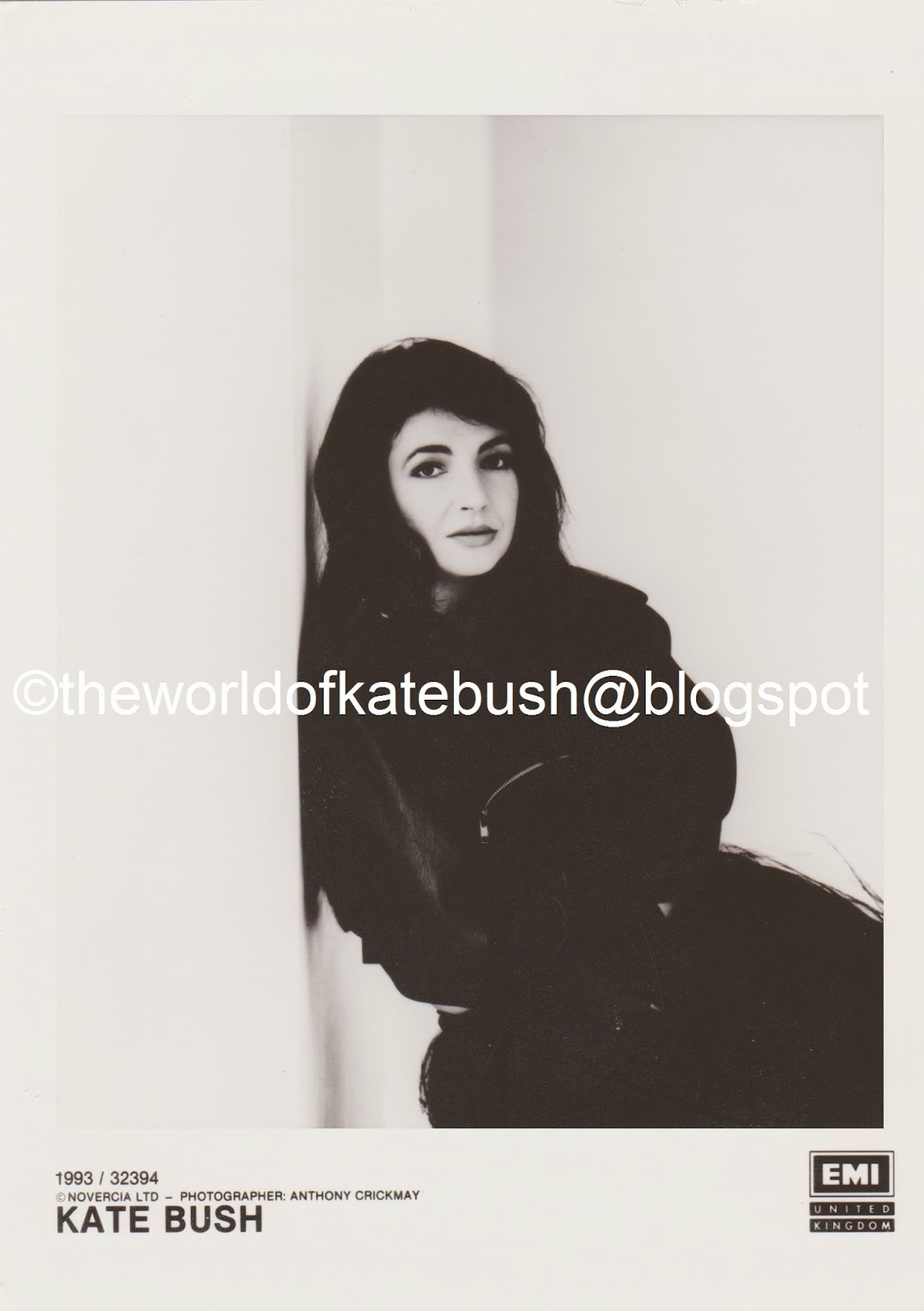 THE WORLD OF KATE BUSH: Promotional Publicity Photographs